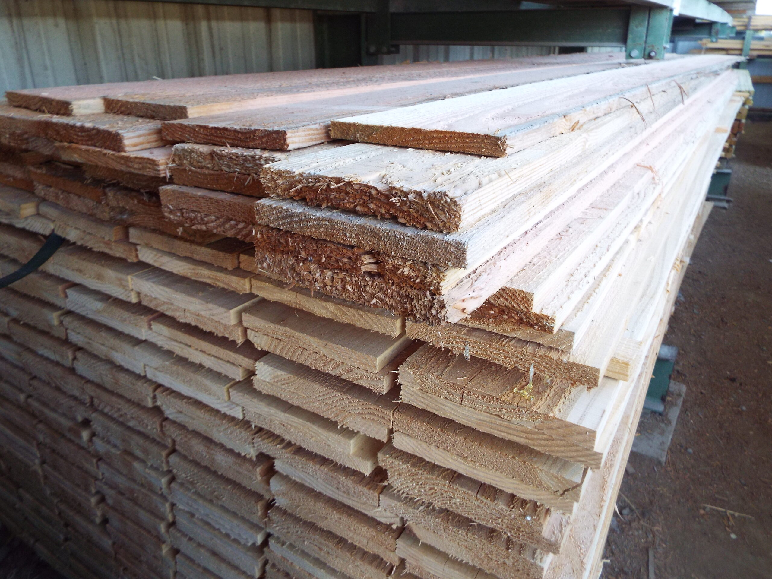 Volige - Celle Magasin