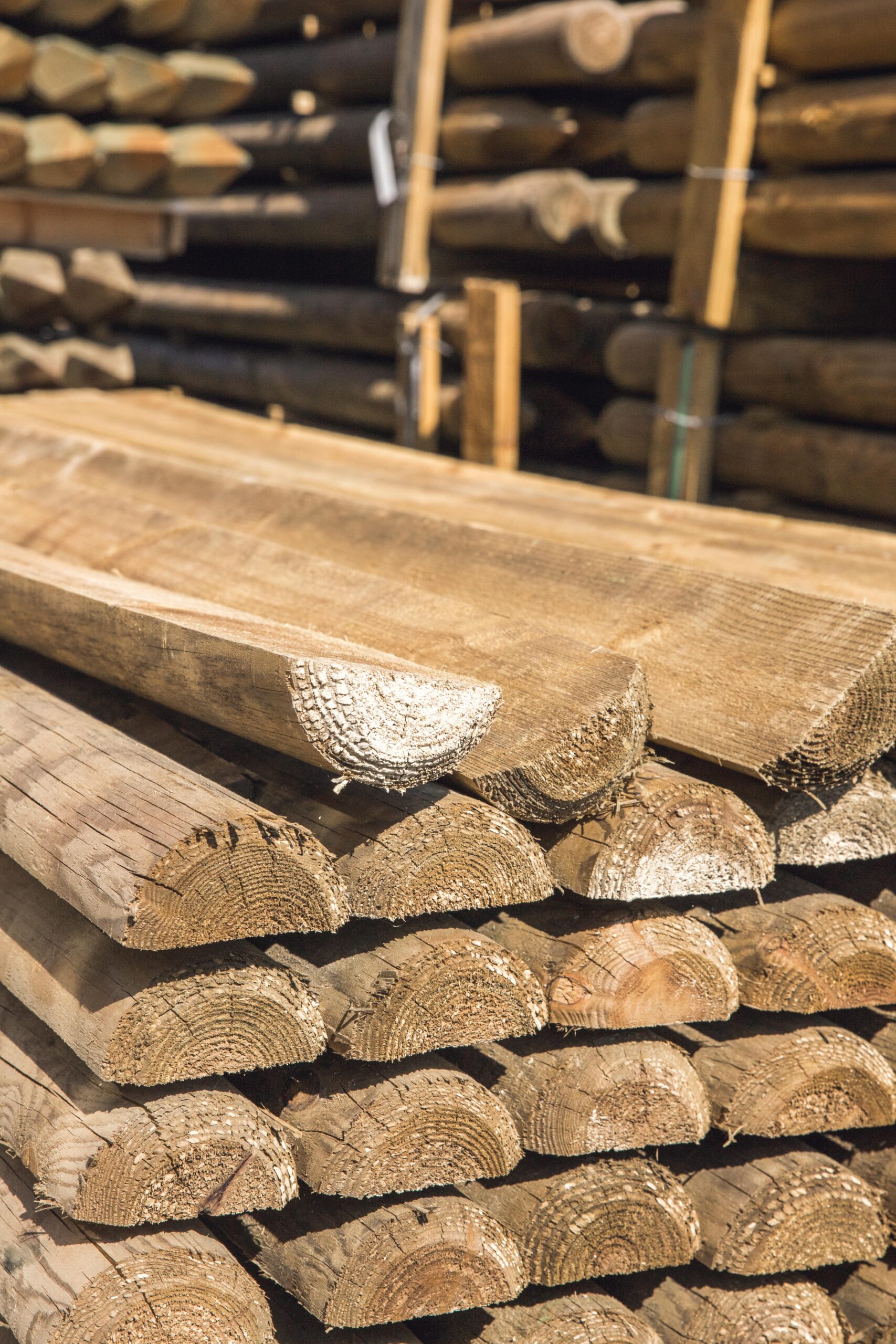 1/2 Rondin - Celle Magasin